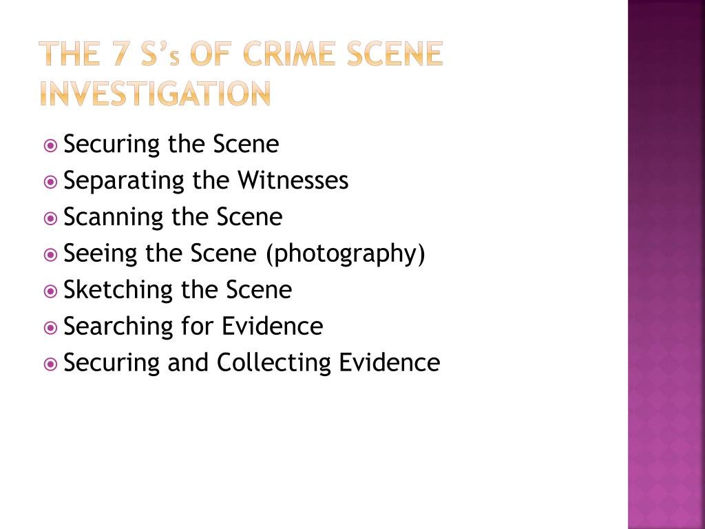 Exploring The 7S Of Crime Scene Investigation: Key Insights – News ...